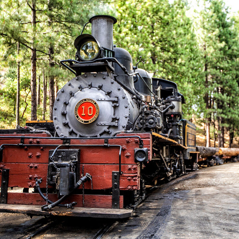 Yosemite Jazz Train - Sugar Pine Railroad - JazzConcerts.com